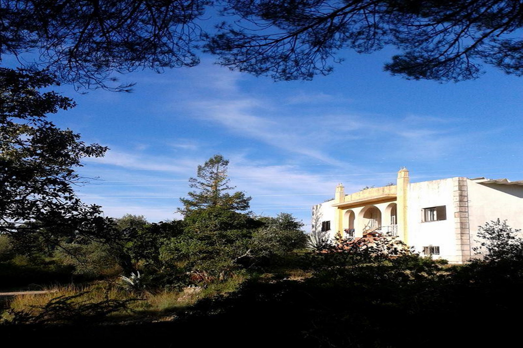 GRUPOS LOCAIS – Subud Portugal